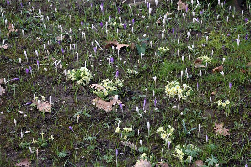 Otvoren Botanički vrt u Zagrebu – foto – Prigorski.hr