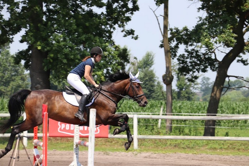 [FOTO] Koprivnički Galop team domaćin turnira u preponskom jahanju – Prigorski.hr