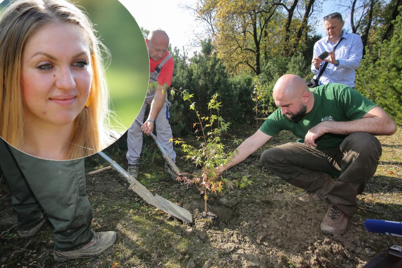 KOLEKTIVNA SADNJA DRVEĆA Ovog vikenda počinje jedinstvena akcija u Hrvatskoj, a sve zbog jedne ...