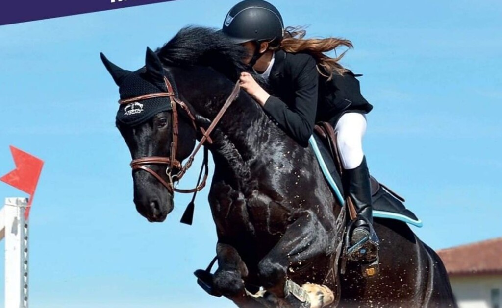 Ove subote u Križevcima turnir u preponskom jahanju – Prigorski.hr